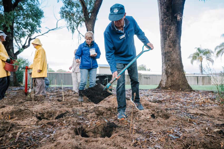 Lakelands Community Tree Planting Day and Community Chat | City of Mandurah